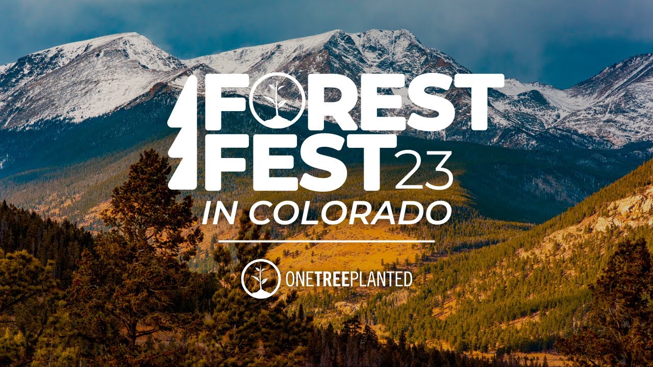 Forest Fest 2023 | One Tree Planted - YouTube