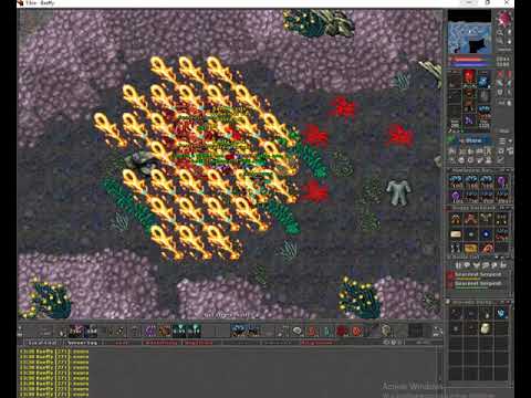[Tibia] Diamond Arrows Paladin Seacreast Grounds 1.5kk Exp/Hr Loot ate ...