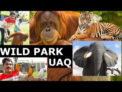 The Zoo Wild life park Umm Al Quwain | Umm Al Quwain Zoo | Must Visit ...