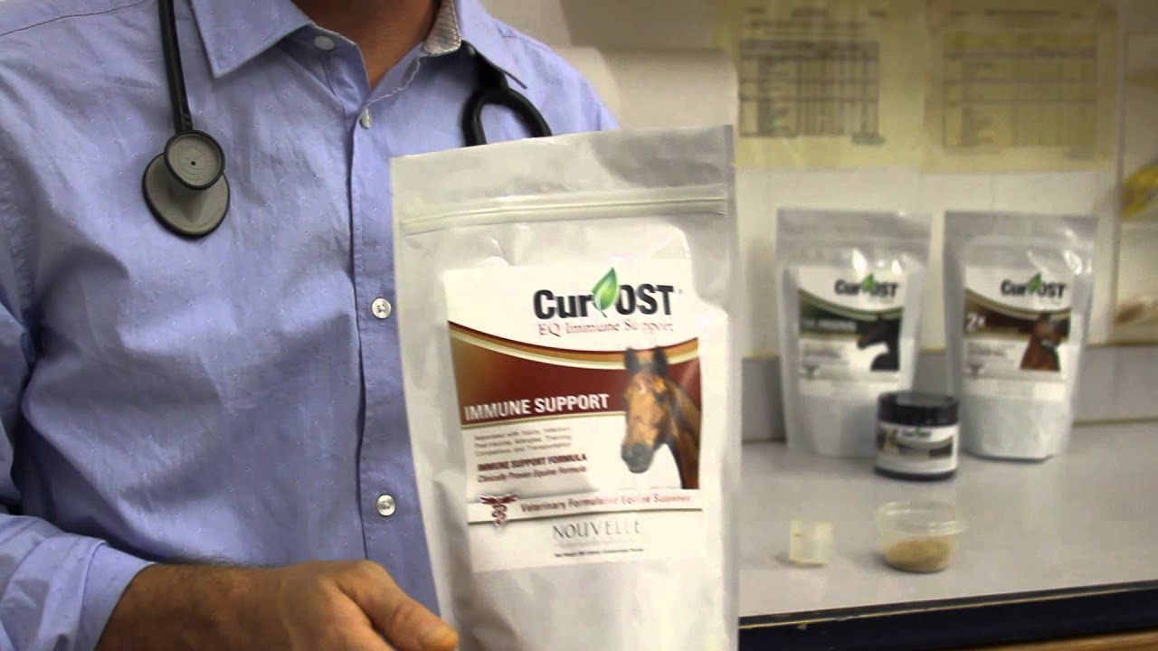 CurOST EQ IMMUNE Support for Horses - YouTube