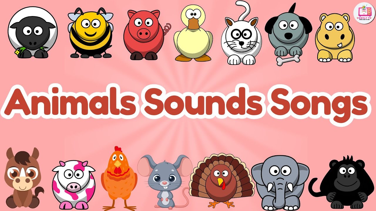Animal Sounds Song | Nursery rhymes for Toddlers| Voovly Tv - YouTube