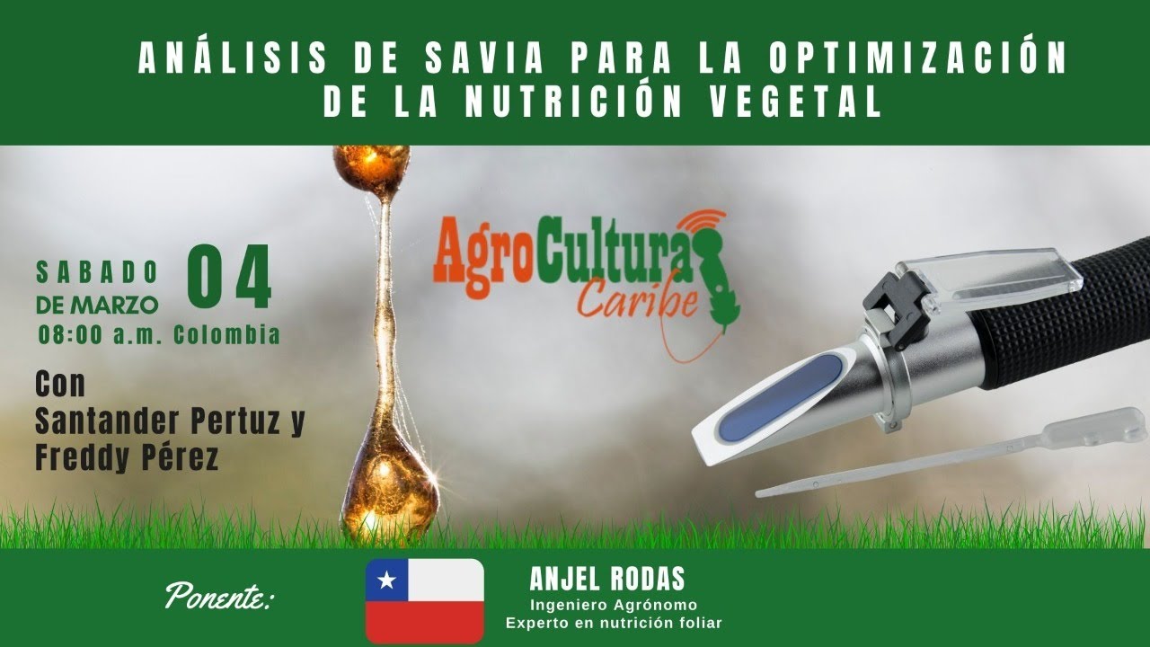 LA MEDICIÓN DE LA SAVIA PARA OPTIMIZAR LA FERTILIZACIÓN - YouTube