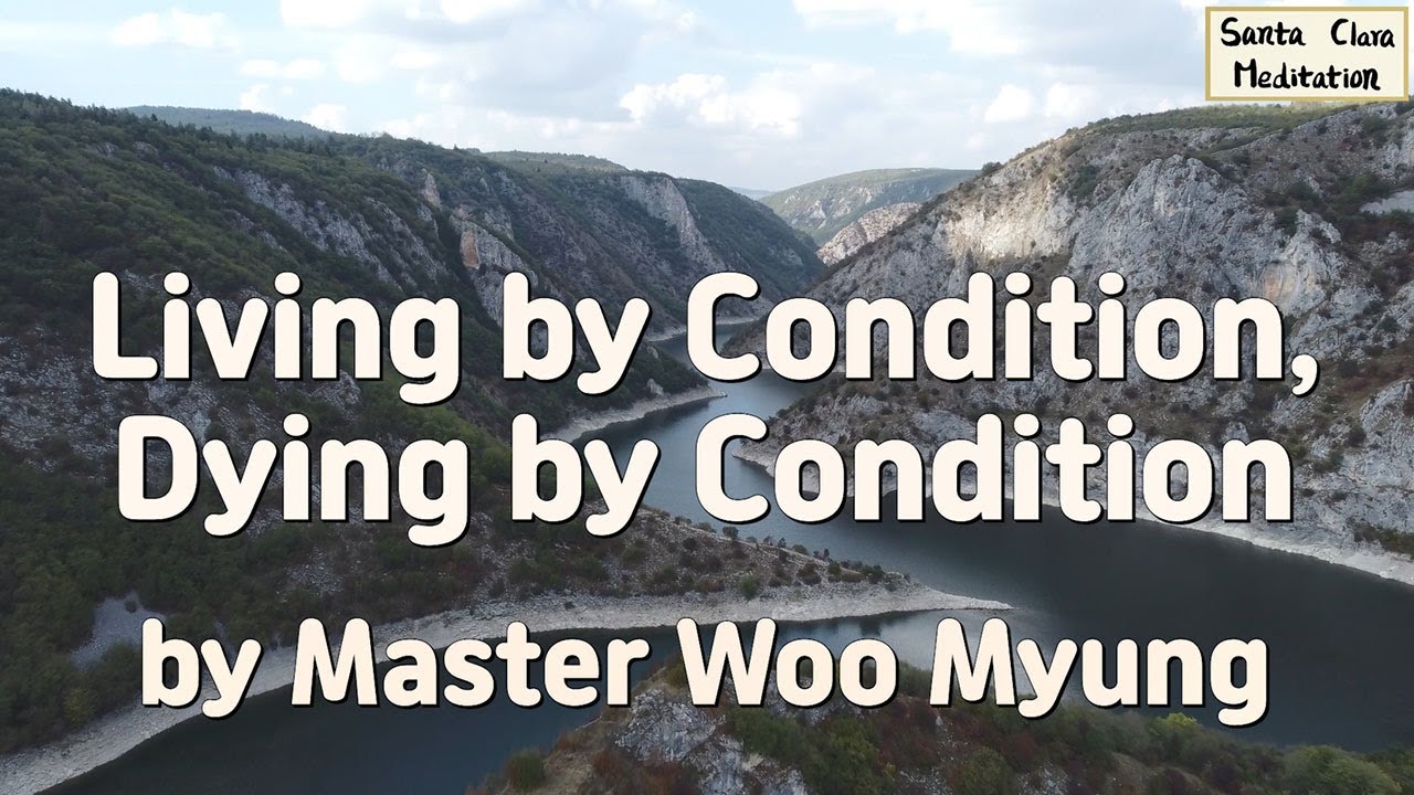🌊 Living by Condition, Dying by Condition | Master Woo Myung | The Law ...
