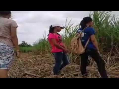 Karga Tapas: Sugar Cane Workers Documentary (Educ 2 Project) - YouTube