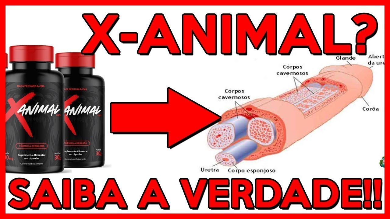 x animal funciona xanimal e bom mesmo x animal como usar - YouTube