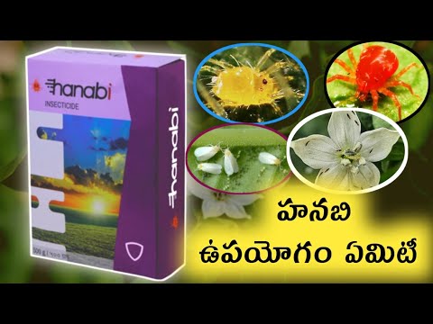 Godrej Hanabi Insecticide Telugu | Hanabi Insecticide Uses in Telugu ...