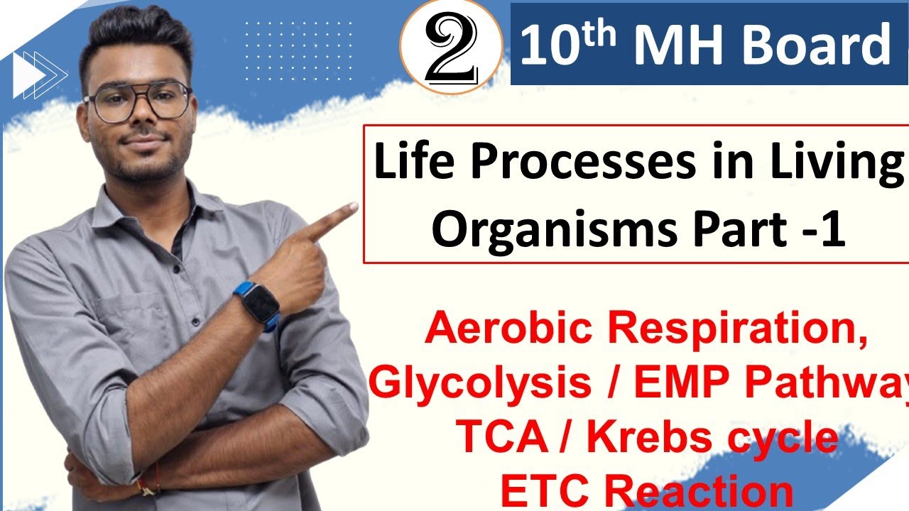C2L2| Aerobic Respiration, Glycolysis / EMP Pathway TCA / Krebs cycle ...