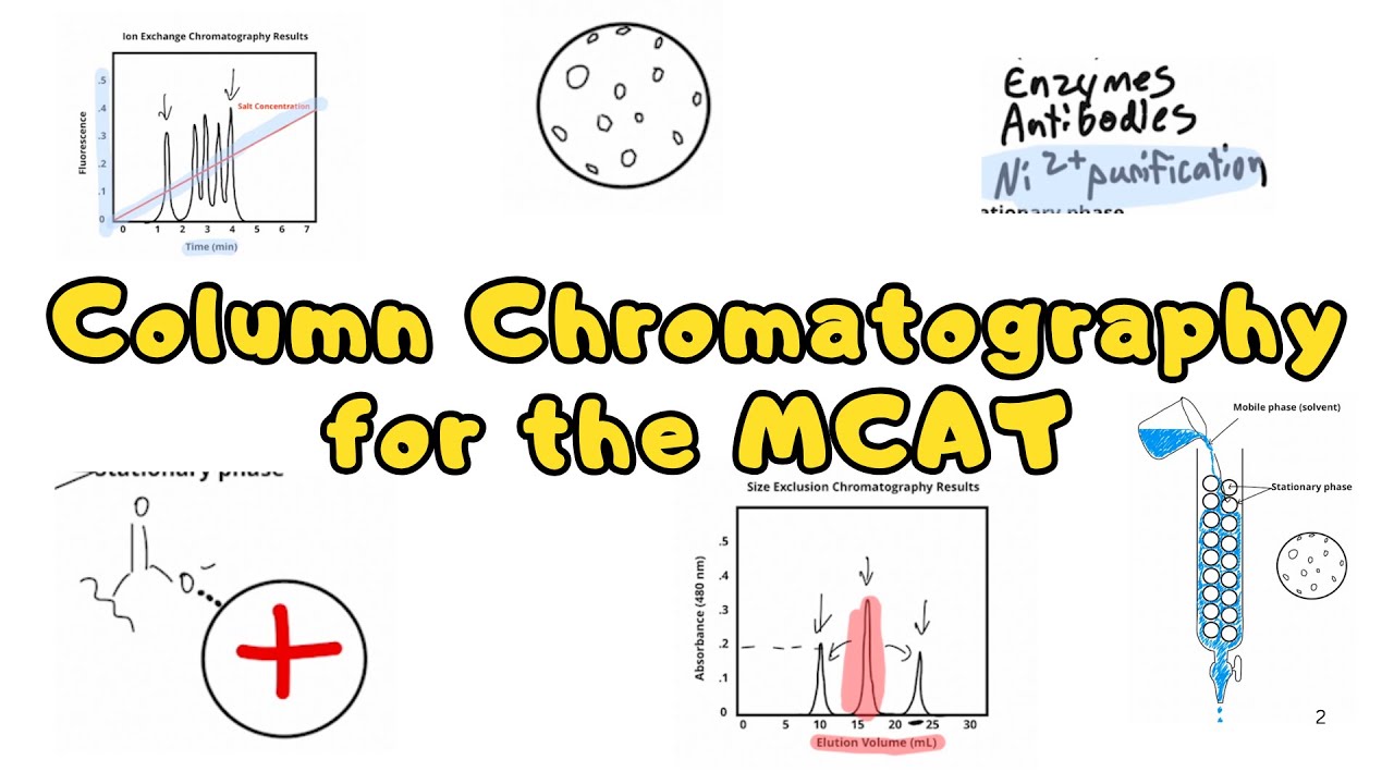 The Ultimate MCAT Guide to Column Chromatography - YouTube