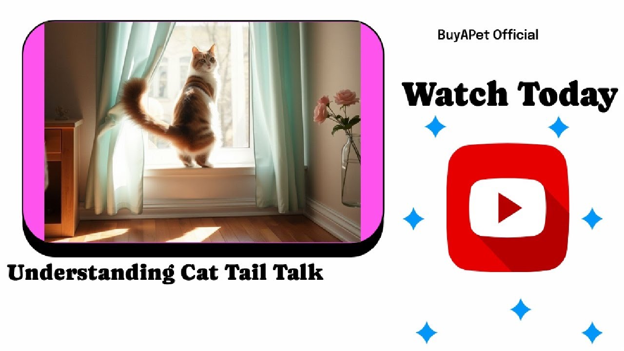 "Decoding Your Cat's Tail: What Their Flicks, Flicks, and Swishes REALLY Mean!" - YouTube