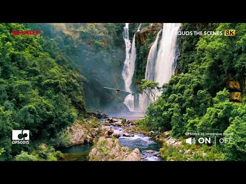 SHARP AQUOS 8K TV : 8K DW1 Series USP Video