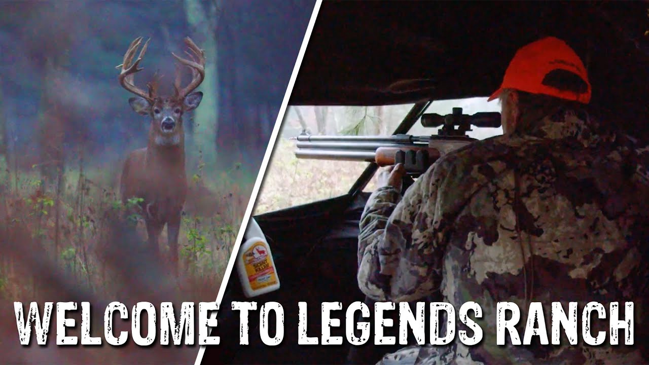 Making the PERFECT Frontal Shot with an Airgun!! - YouTube