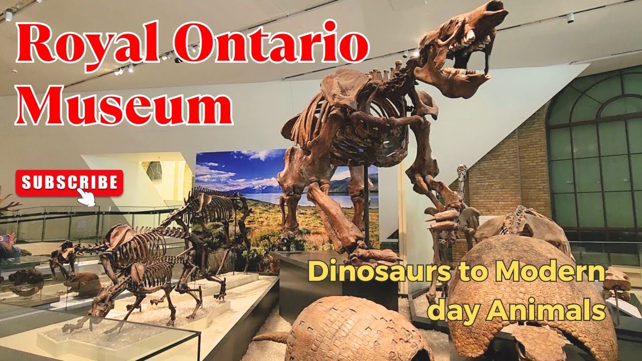 Discover the Dinosaurs at Royal Ontario Museum | Places to Visit in ...