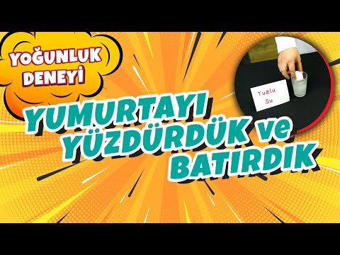 6. Sınıf Fen Bilimleri Yoğunluk Deneyi / Yumurta Batırma | Hocalara Geldik