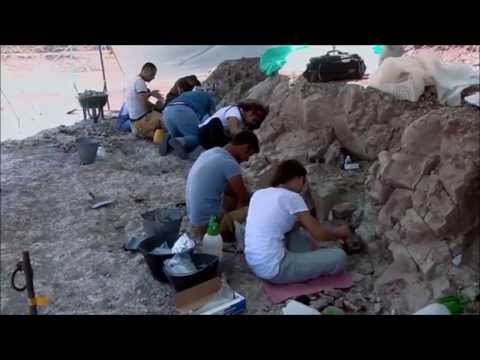 Çankırı'da antilop fosili bulundu