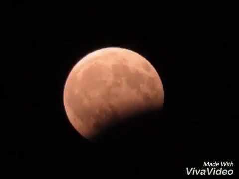 Bir takım Lunatik çekimler...
