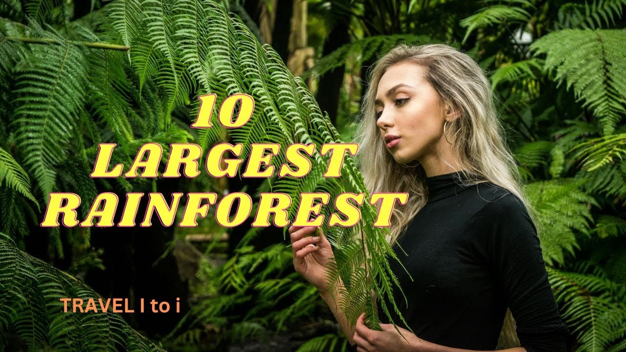 #10 largest forests in the world #10 largest rainforests #forest # ...