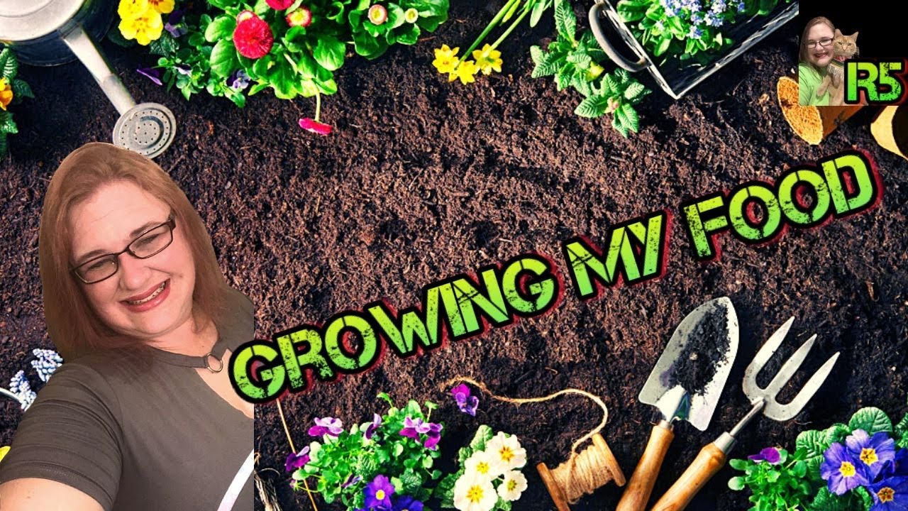 Growing my own food, a garden update! - YouTube