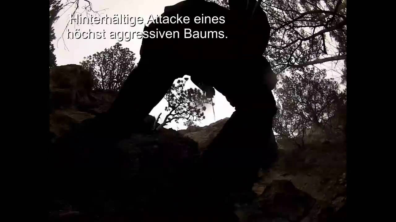 Abseilen - Dülfersitz, mit Abseilachter, Rundown Rappel, Lizard Rappel - YouTube