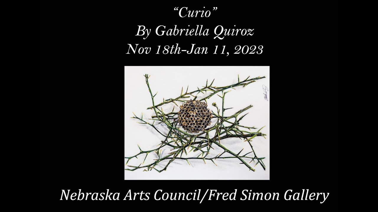 Fred Simon Gallery Presents- "Curio" by Gabriella Quiroz - YouTube