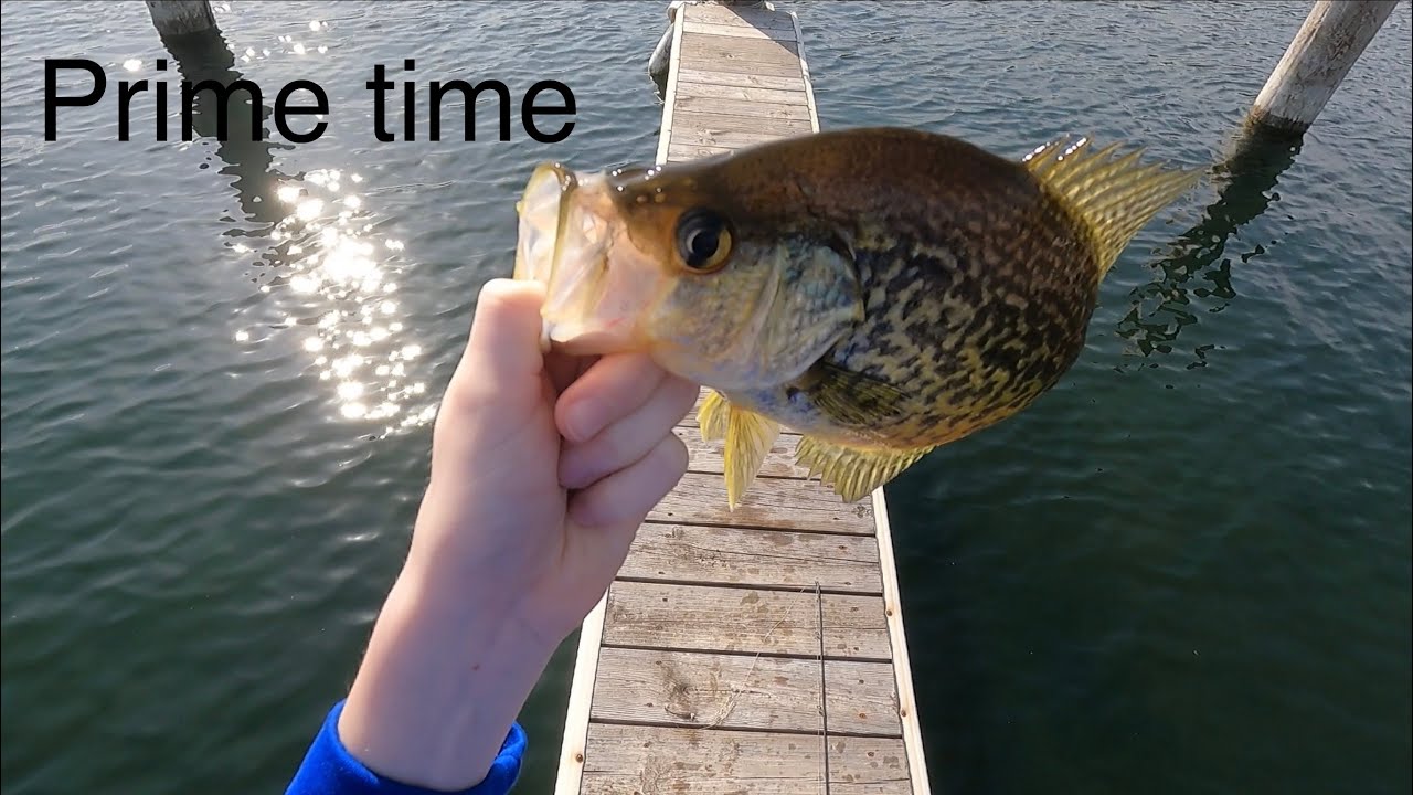 Minnesota crappie fishing!- Lake Minnetonka! - YouTube