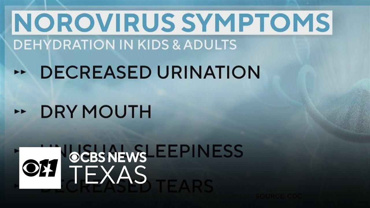 Experts warn about spread of highly contagious norovirus ahead of ...