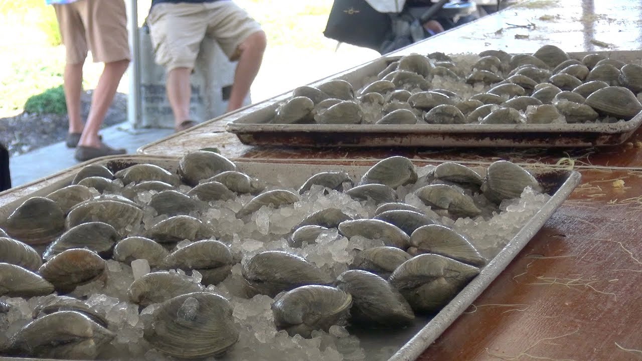 8/14/2018 24th Annual West Islip Breast Cancer Coalition Clam Shucking ...