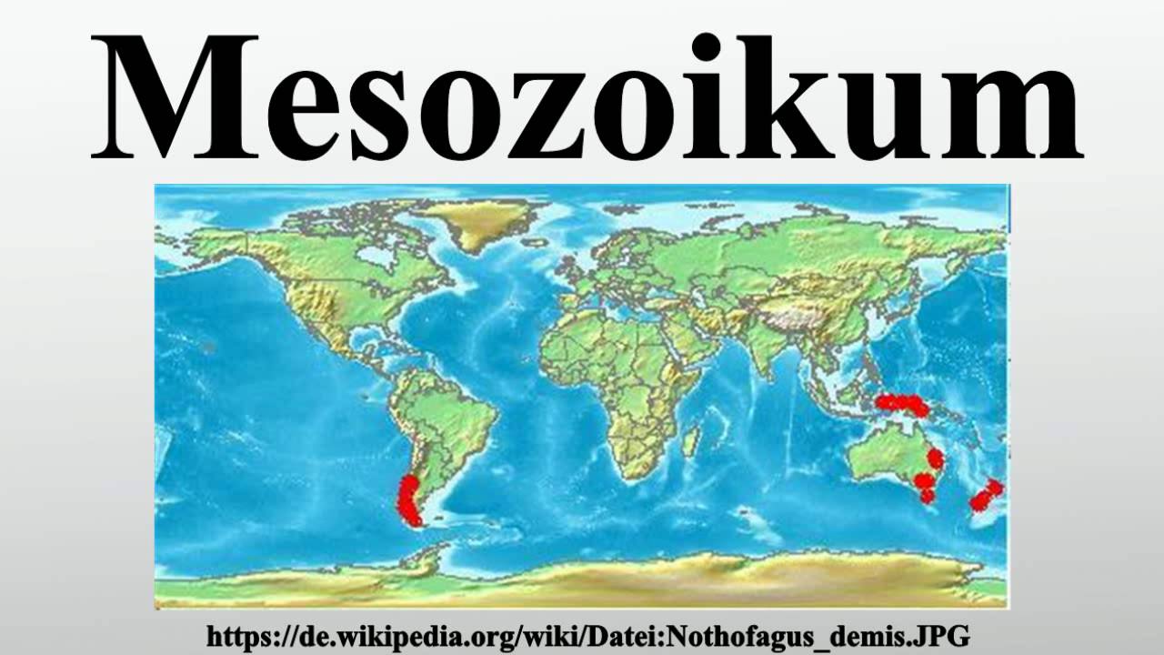 Mesozoikum - YouTube