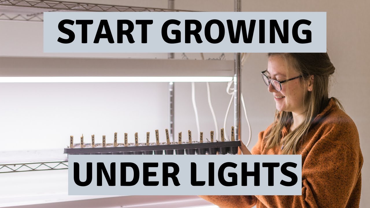 The Basics That You Need To Know To Start Using Grow Lights For Your ...