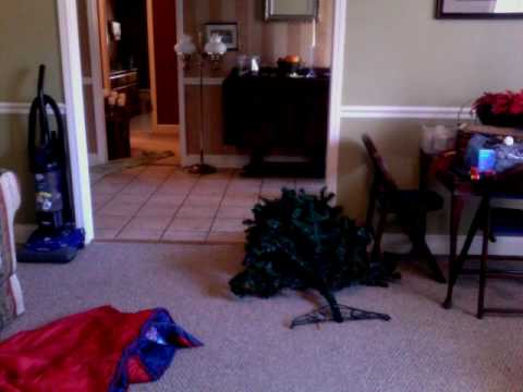 Hillbilly Farms The Bathroom - YouTube