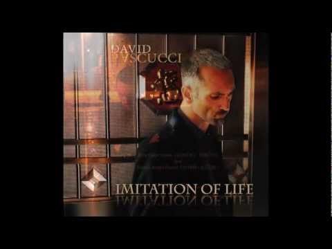 What If I Loved You - David Pascucci (from the album "Imitation of life ...