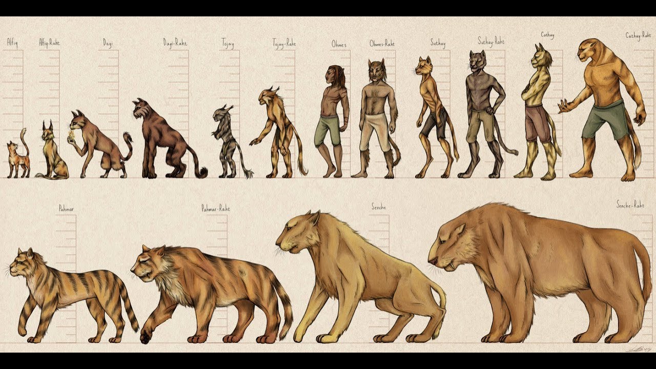 Elder Scrolls Especial Os Tipos de khajiit. - YouTube