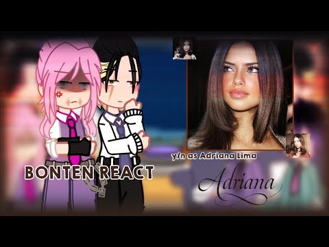 Bonten reagindo a y/n as Adriana Lima (🇧🇷/🇺🇸/🇪🇸) [Akemiih !] 