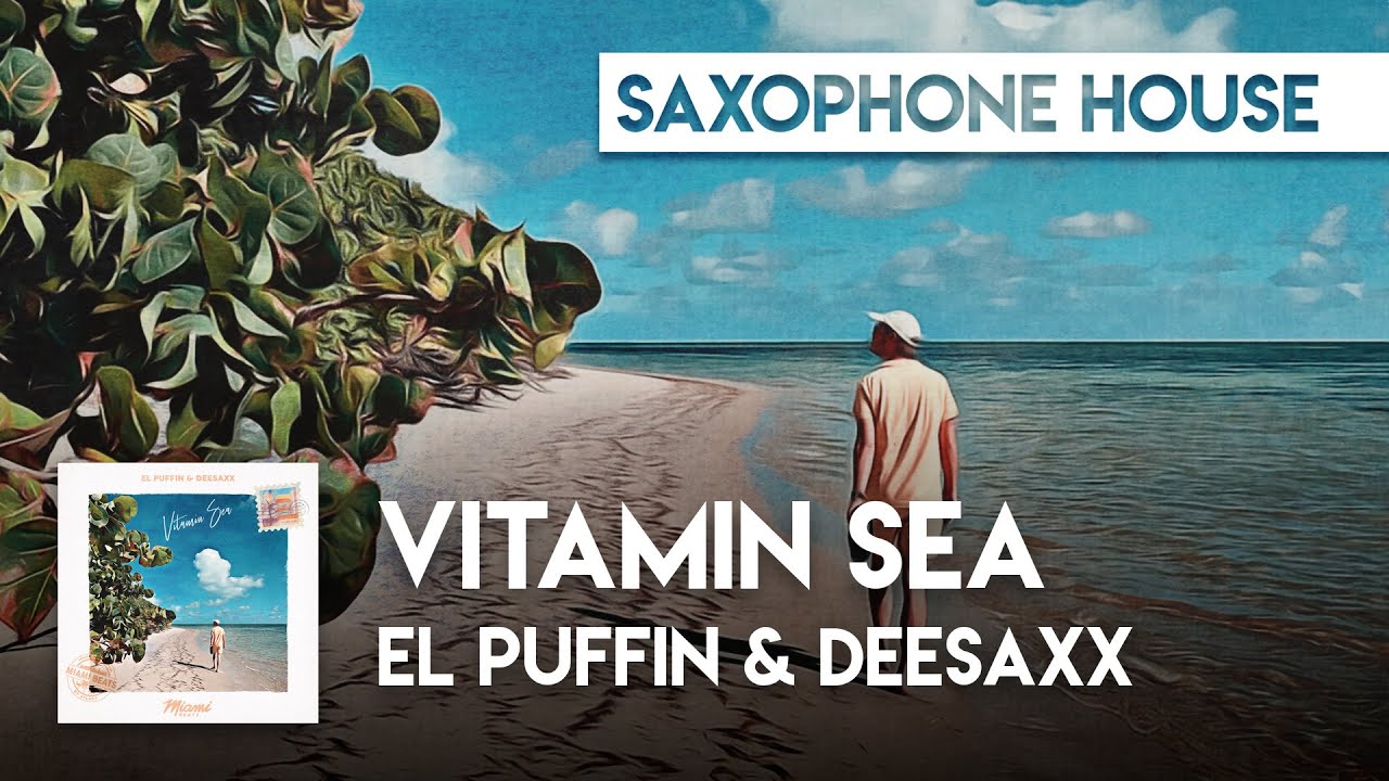 Sax House | El Puffin & DeeSaxx - Vitamin Sea - YouTube