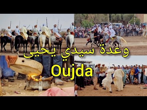 وعدة سيدي يحيى وجدة موسم التبوريدة الخيل رقصة العلاوي  oujda wa3da sidi yahya 2024
