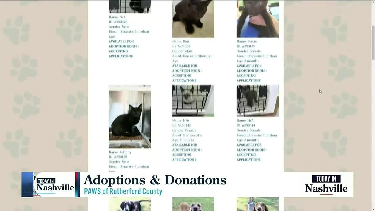 PAWS of Rutherford County Talk Adoptions & Donations - YouTube