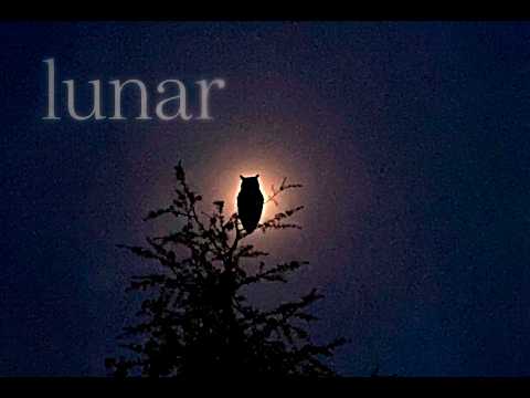 LUNAR - ProdbyDoku