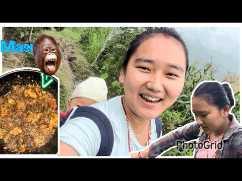 Mero kitchen ma masu pakdaixa 🤣 katti saag sabji matra🤣 makai pani ...