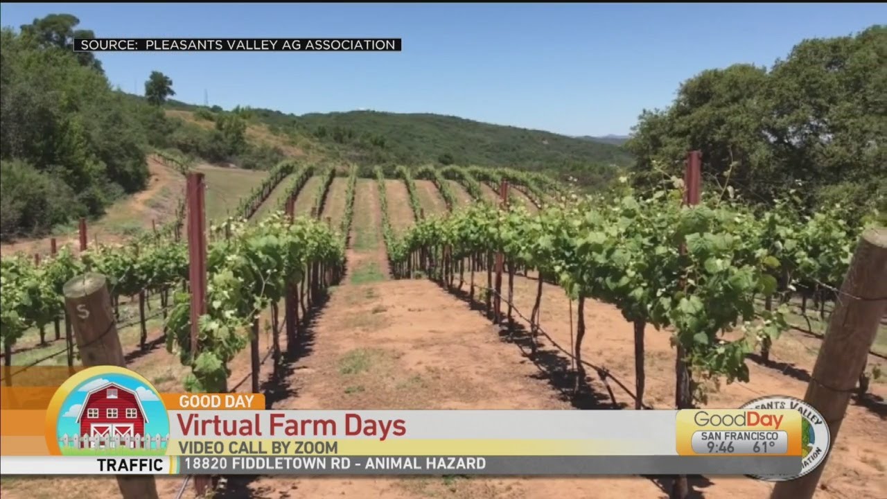 Virtual Farm Days - YouTube