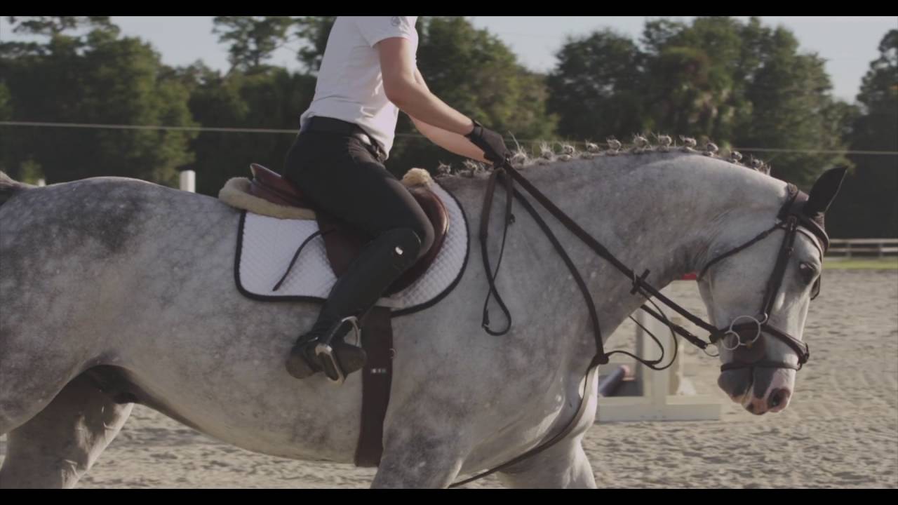 Equus II The Art of Show Jumping - YouTube