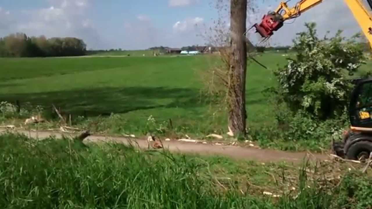 Boom vellen - YouTube