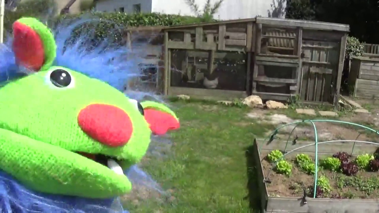 Zigouigoui et son poulailler - YouTube