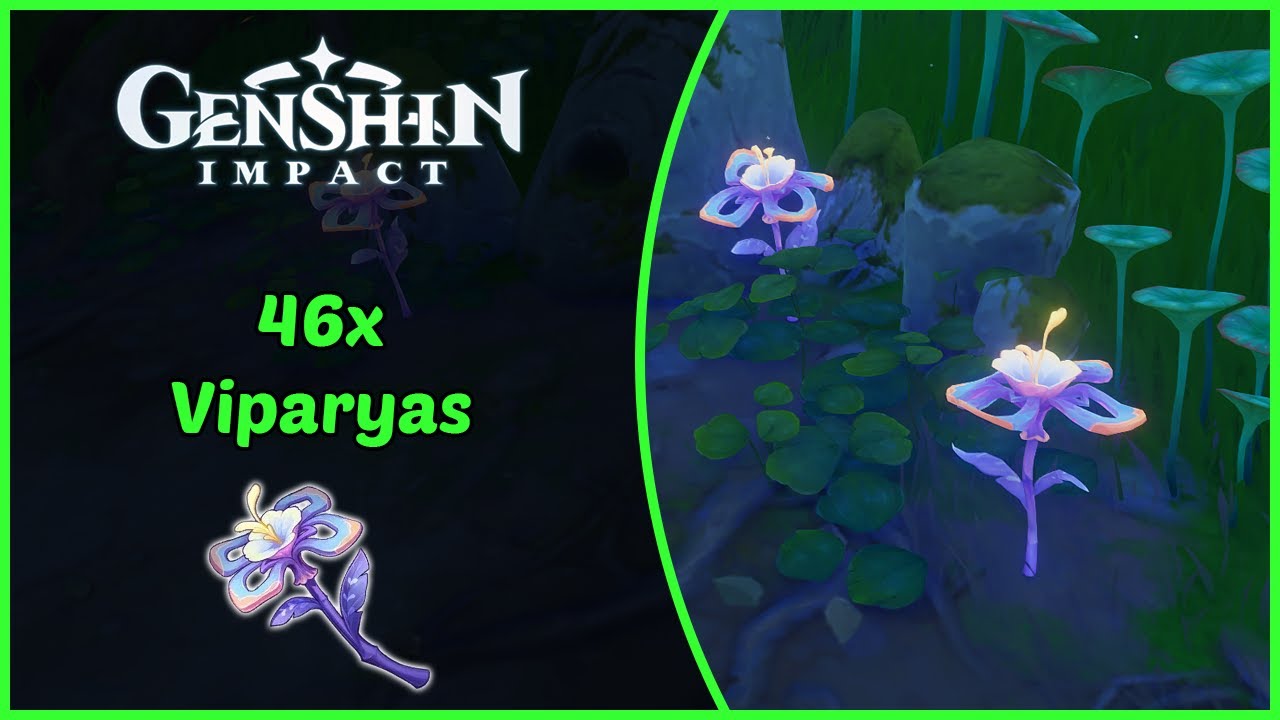 Genshin Impact | Viparyas | Emplacement et Routes - YouTube