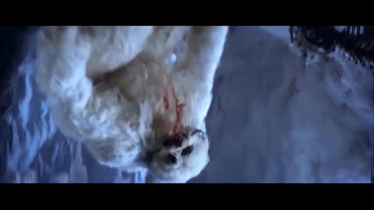 The Wampa Strikes Back - YouTube