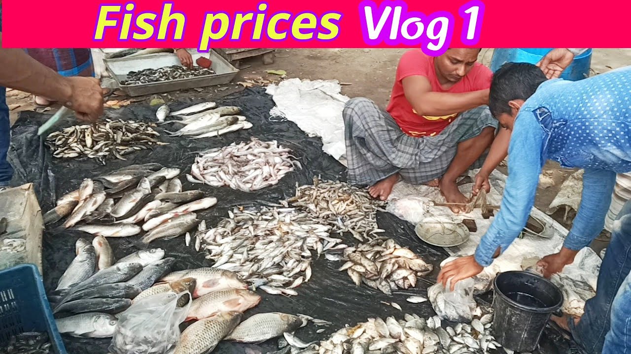 My first fish market experience | Prices of different fish | fish vlog ...