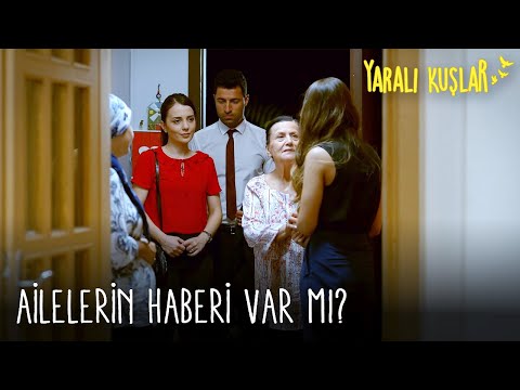 Cemil ve Ayşe'nin gergin bekleyişi | Yaralı Kuşlar