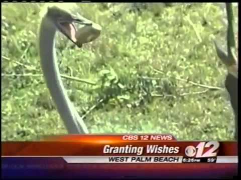 Channel 12 News - Joe Zevuloni - YouTube