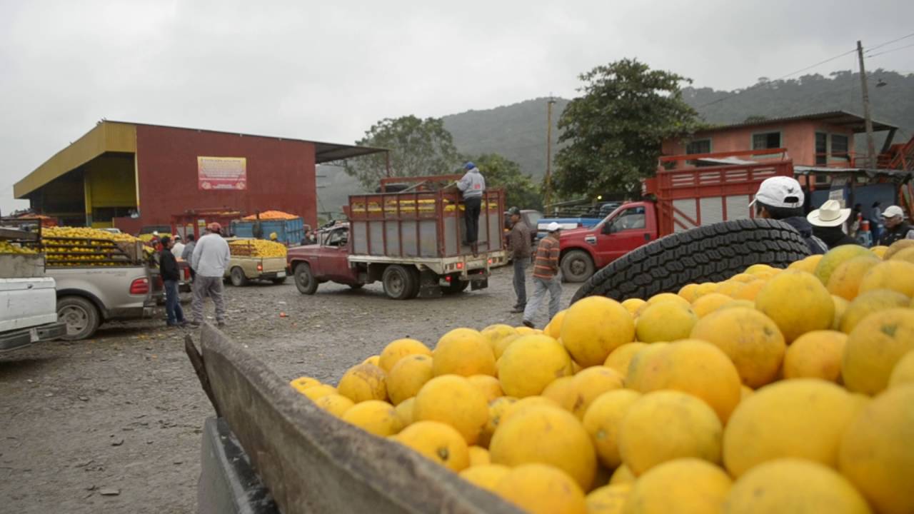 Estero de El Ídolo Álamo Temapache - YouTube