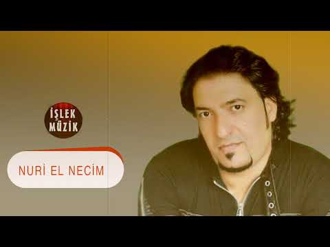 Nuri el Necim - Ali Ye Alaviy الفنان نوري النجم