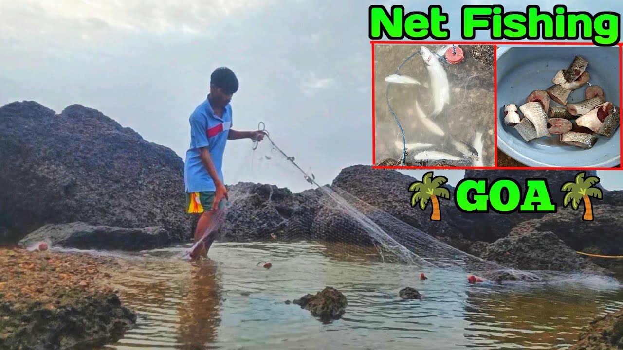Net Fishing In The Sea Pond Goa | For 2 Day's, Hunt Fishes, Cyclone ...