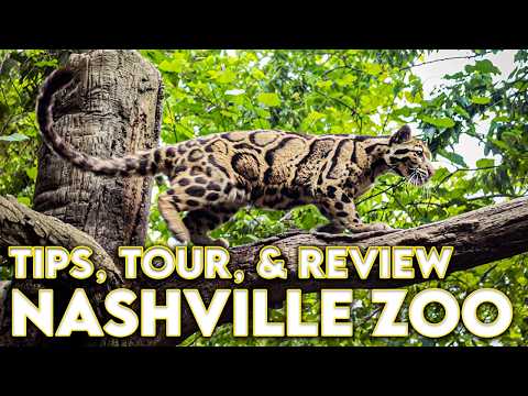 The Nashville Zoo: Full Tour & Review